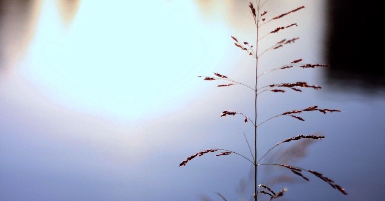 Lyric : Navy｜sus nokhal(スサノハ)