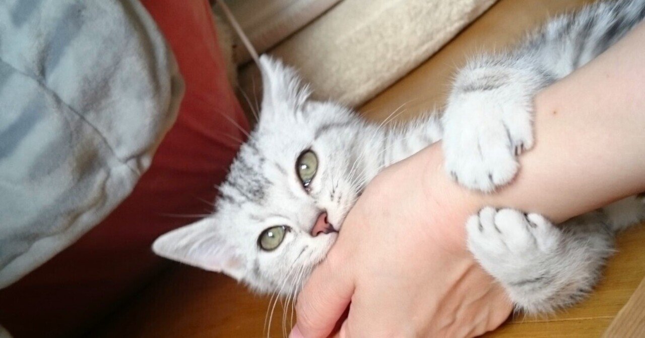 奇跡講座WB実践17 私は中庸なものを見ていない｜(Linp&Ruru)本当の自分を知り、本当の自分として生きる