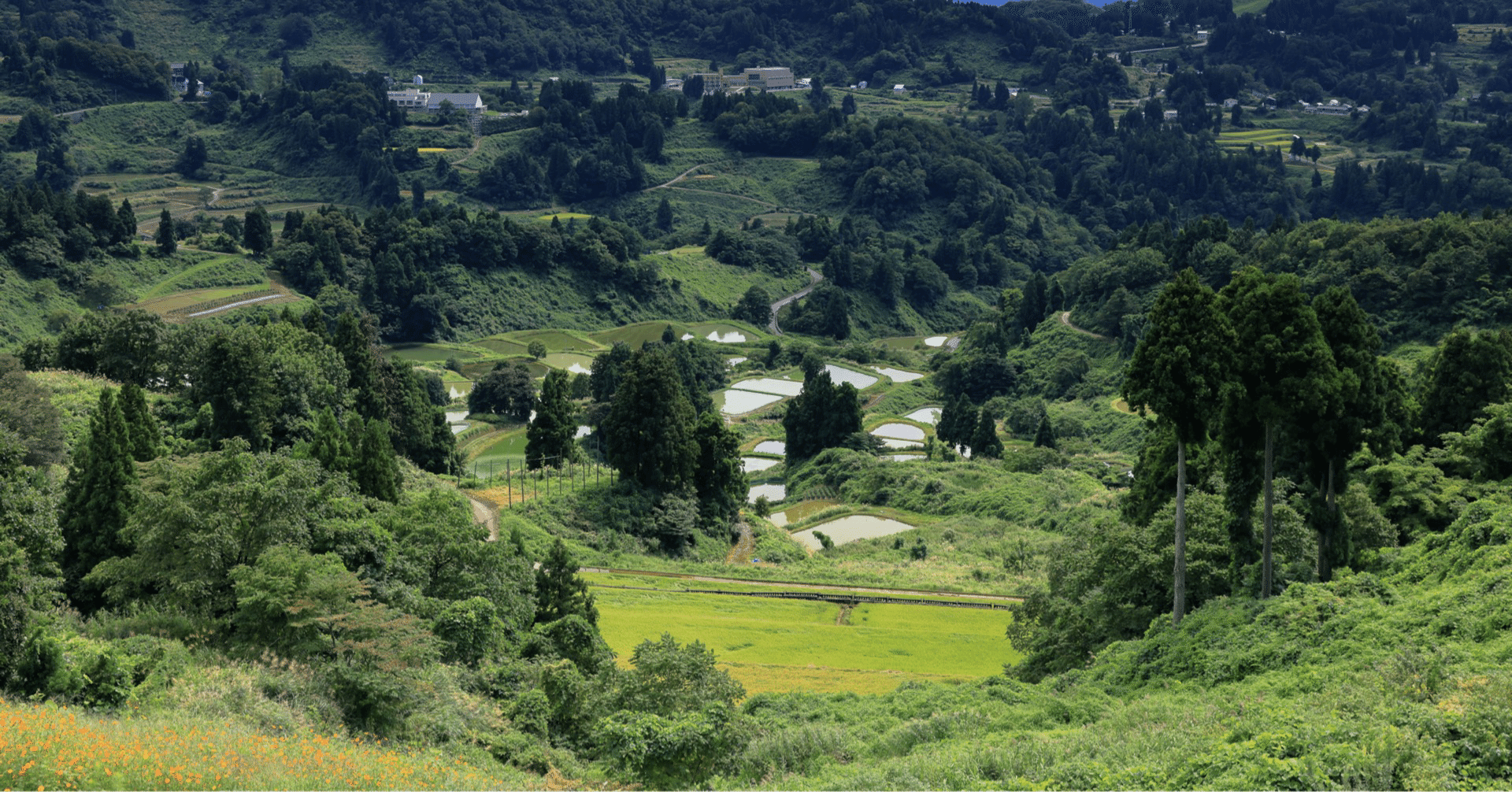 廣瀨 翔｜Sho Hirose｜note