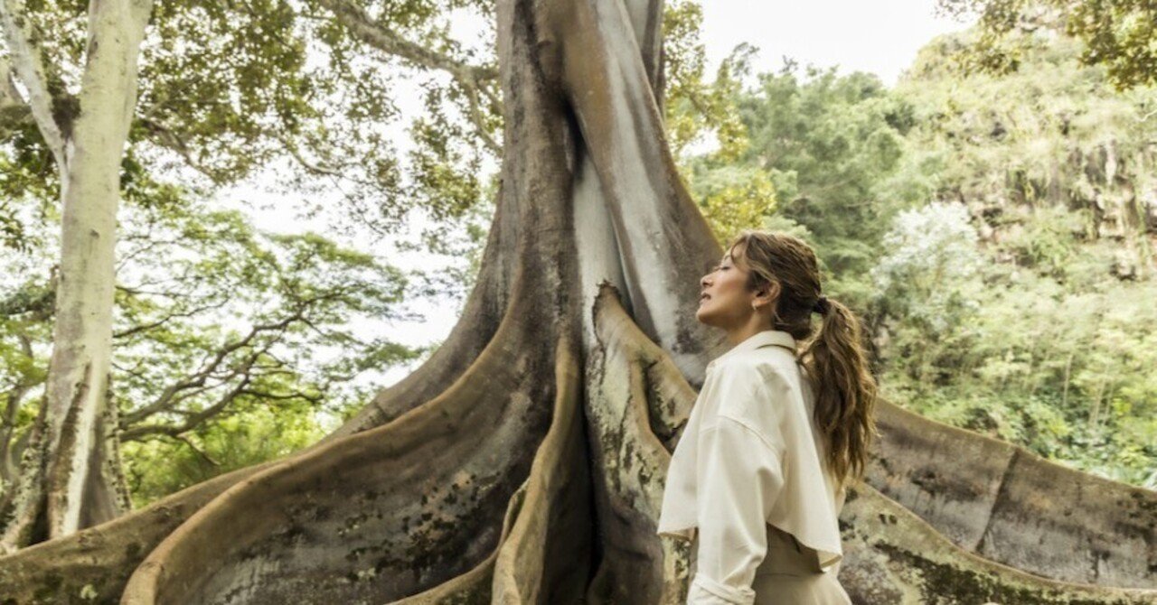 13．暮らすように滞在するHAWAII｜HILO OKADA