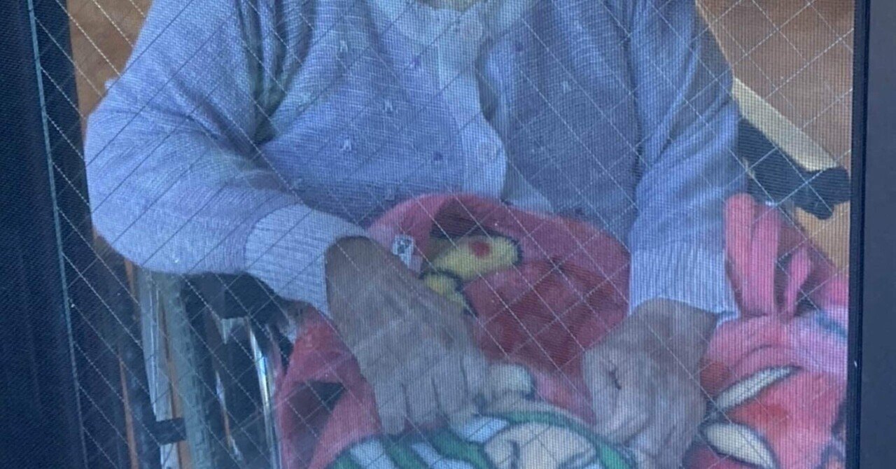 20 スーパーおばあちゃんは今日で94歳|nagi