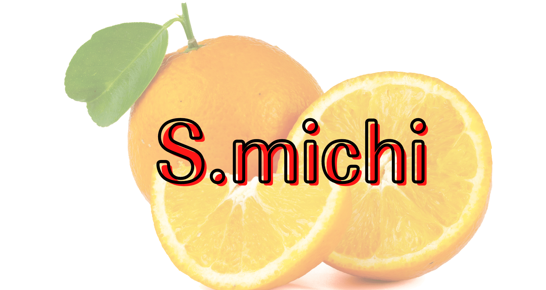 S.michi｜note