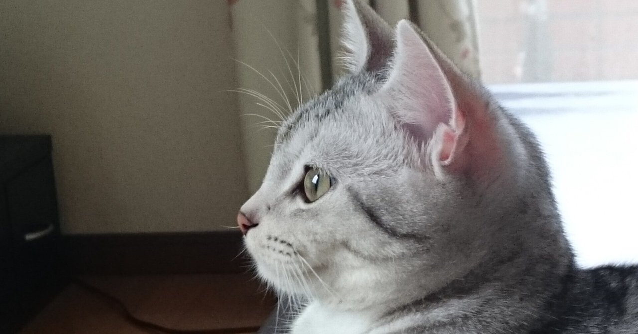 奇跡講座WB実践20 私はぜひとも真に見たい｜(Linp&Ruru) 本当の自分を知り、本当の自分として生きる｜note