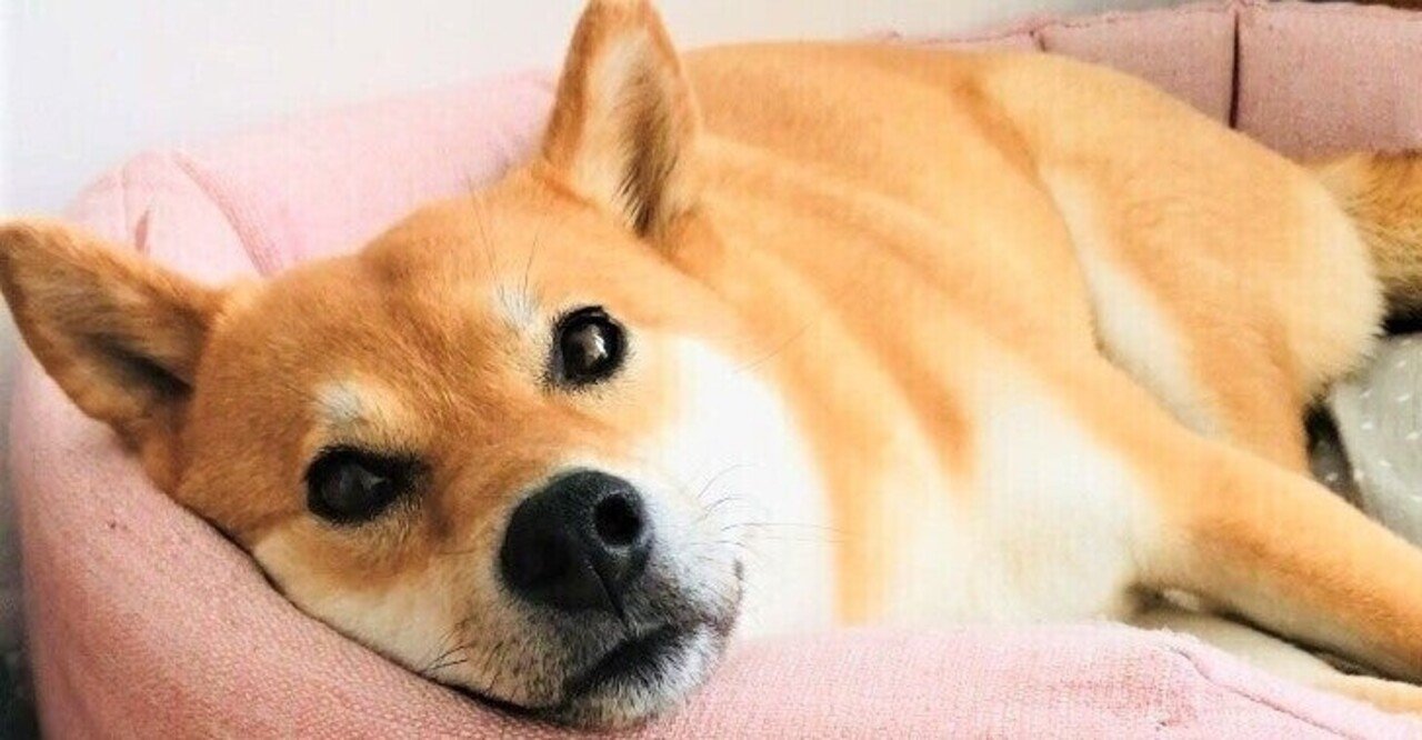 【ストーリー完結】【詳細目次】TOEIC230点から900点を超えた話｜サトウケン | サトケン式イメージ意味四択記憶法