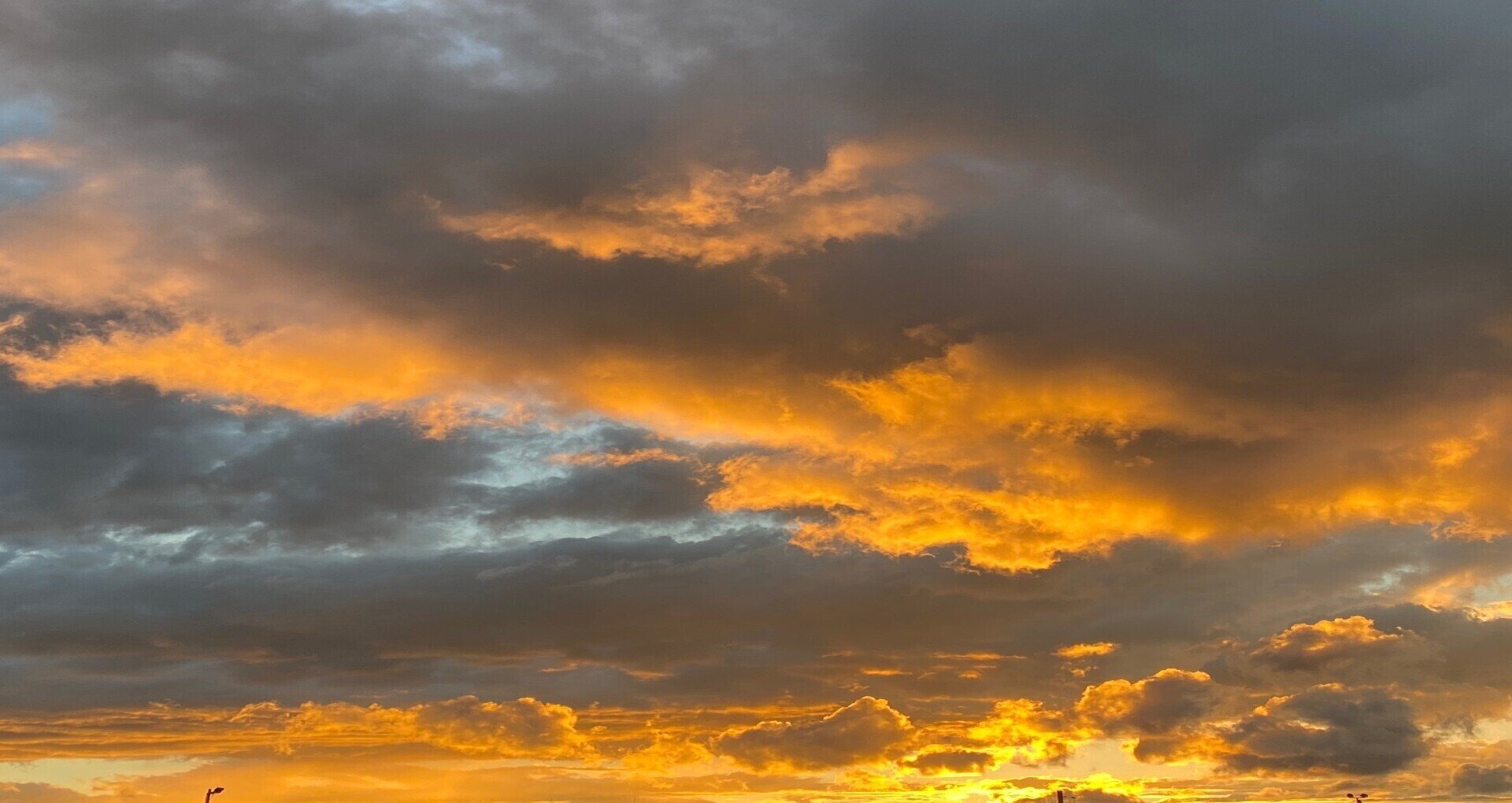 展子 Hiroko｜note