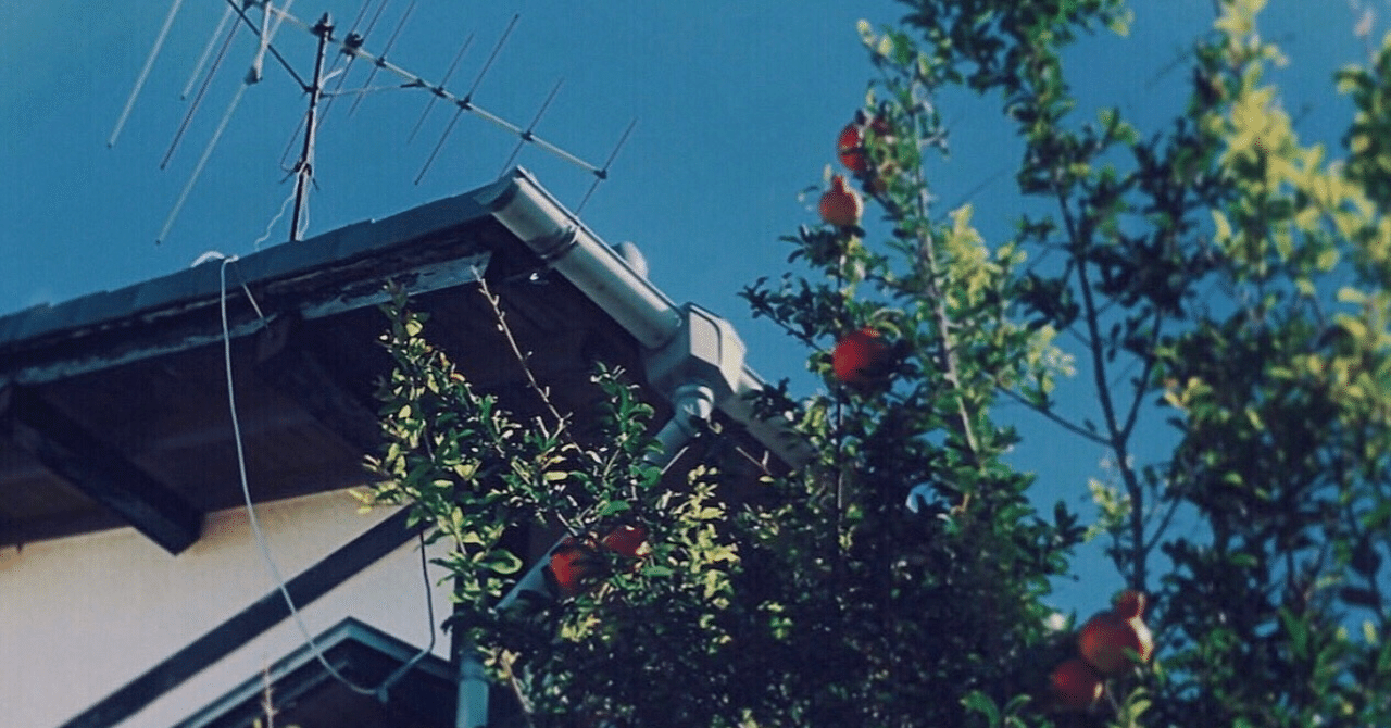 家が爆発する日｜hoshi ichi