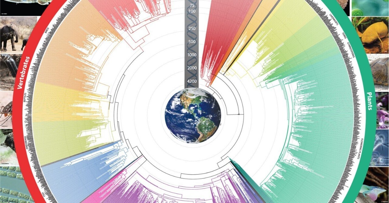 古沢広祐（Furusawa Koyu）｜note