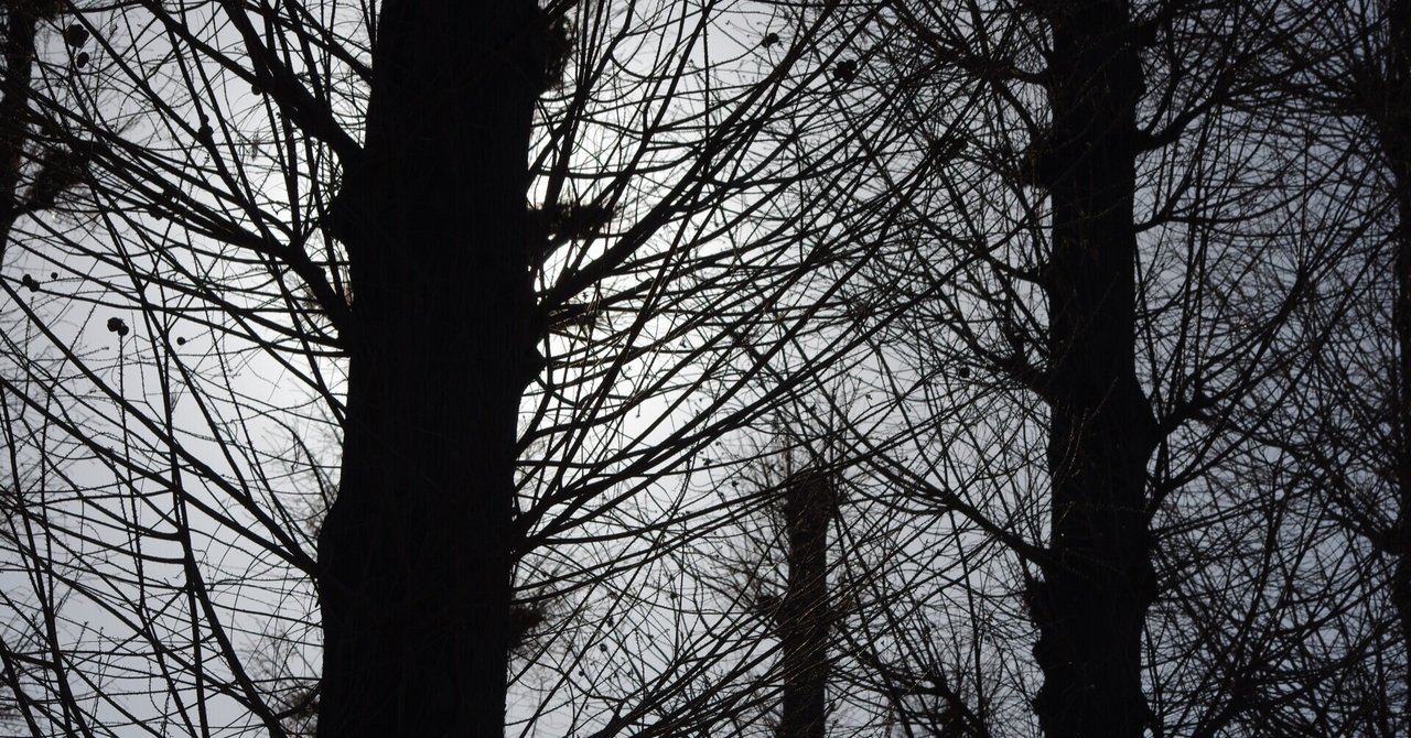 メメント・モリ｜Tatsuki Kitahara