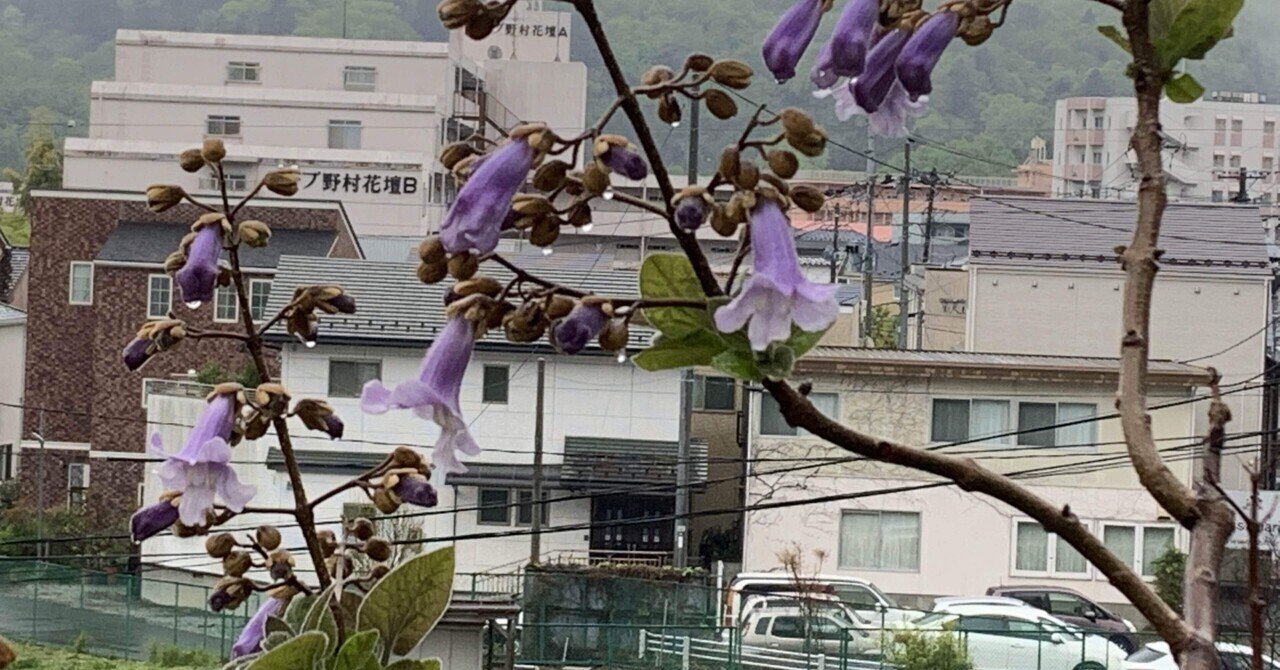 7/29 潜入｜wagiri