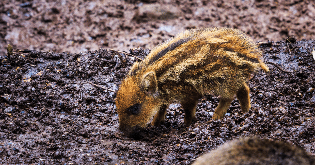#2-48「新人によって変わる」｜mayogoto