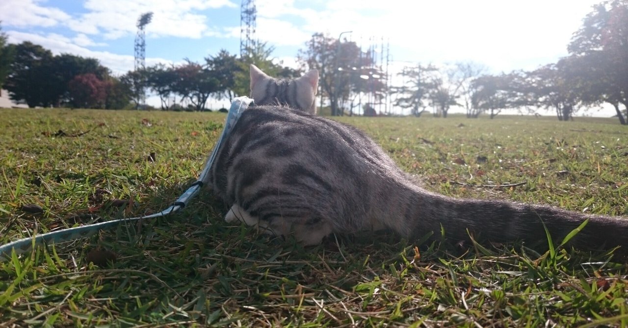 奇跡講座WB実践29 私が見ているあらゆるものの中に、神がいる｜(Linp&Ruru)本当の自分を知り、本当の自分として生きる