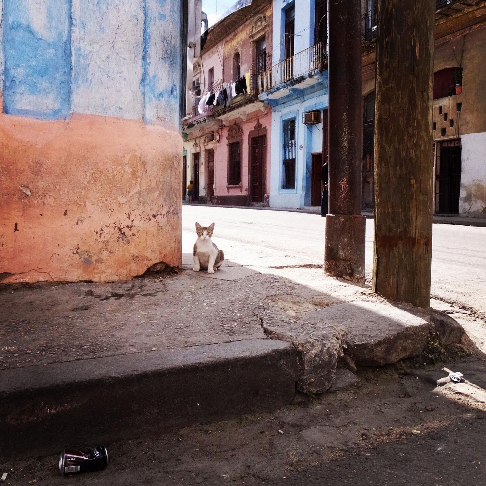 Yumiko Aoyama｜note