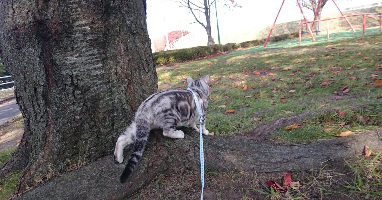 奇跡講座WB実践32 私が、自分の見ている世界を作り上げた｜(Linp&Ruru)本当の自分を知り、本当の自分として生きる