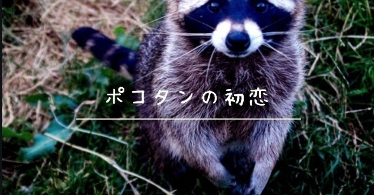 ポコタンの初恋｜持田瀞 Mochida Toro｜note