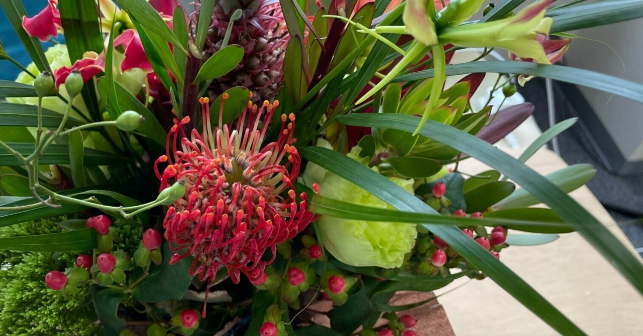 【設立記念日】8/03 15周年 ＜代表エッセイ＞｜aloha_laboratory