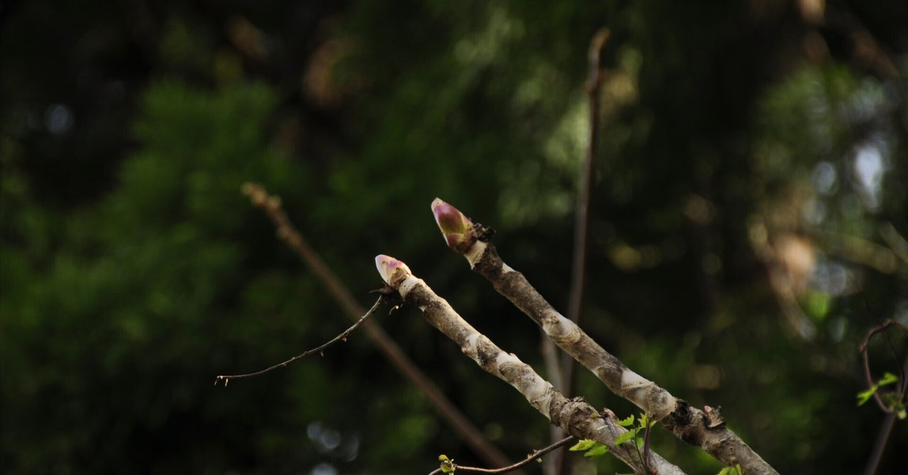 整理整頓｜nob nakata