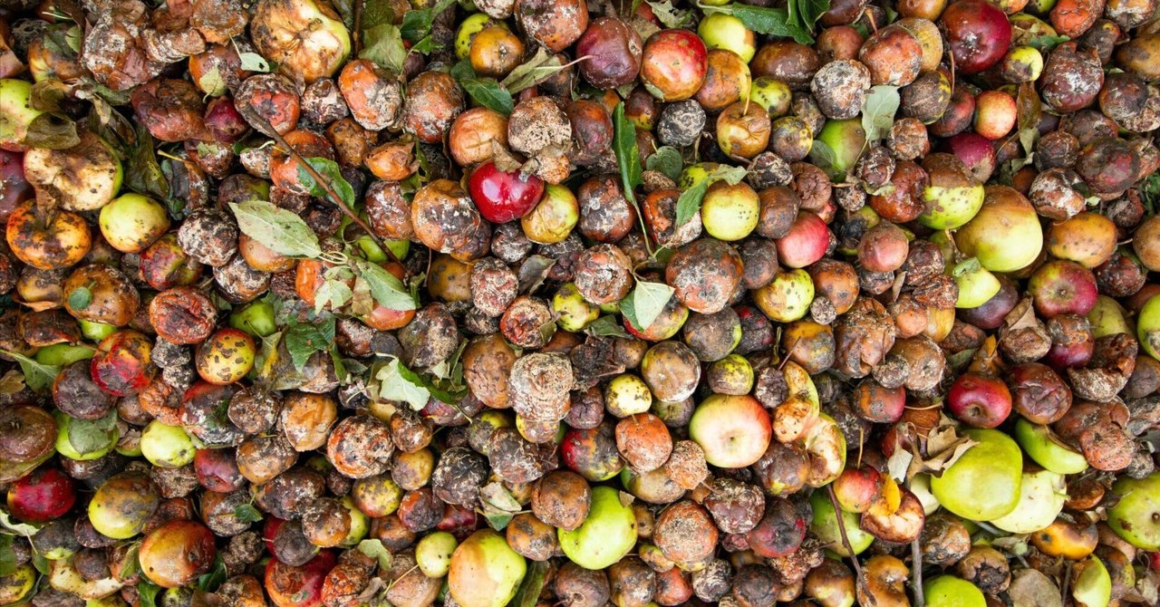 無駄はない｜Yohei Furukawa