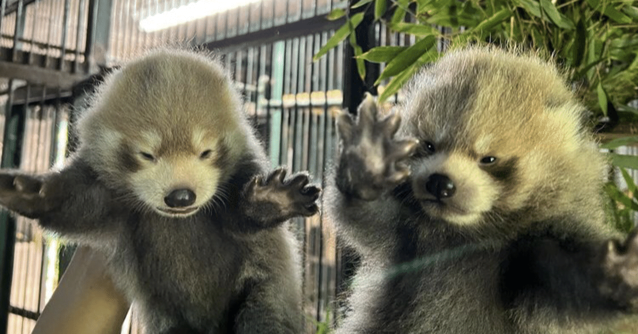 「大きくなあれ。」｜Miho lily ｜note