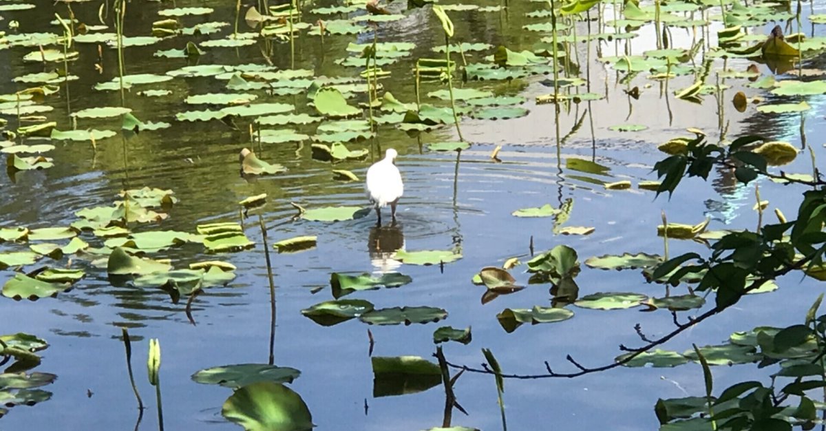 場を清める｜diary