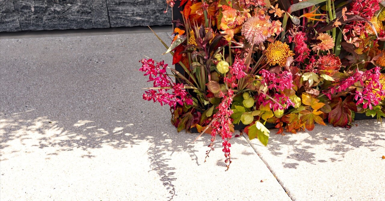 意識の瞬間移動は常にしている｜Hiroko Aoki