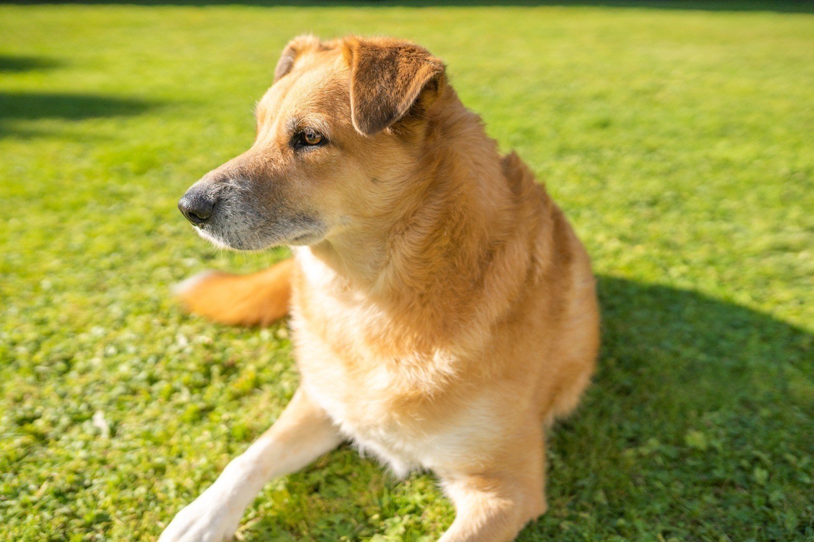 Wataru Oguchi｜note