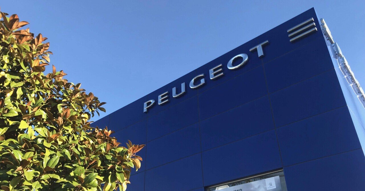 ニュージーランド800km縦断MTBの旅 ～サスペンション購入・1日目出発～｜今野駿太 / Shunta Konno