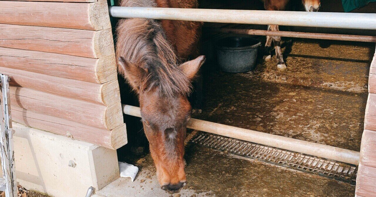 書きたいことがない/27日目｜baka_yuki｜note