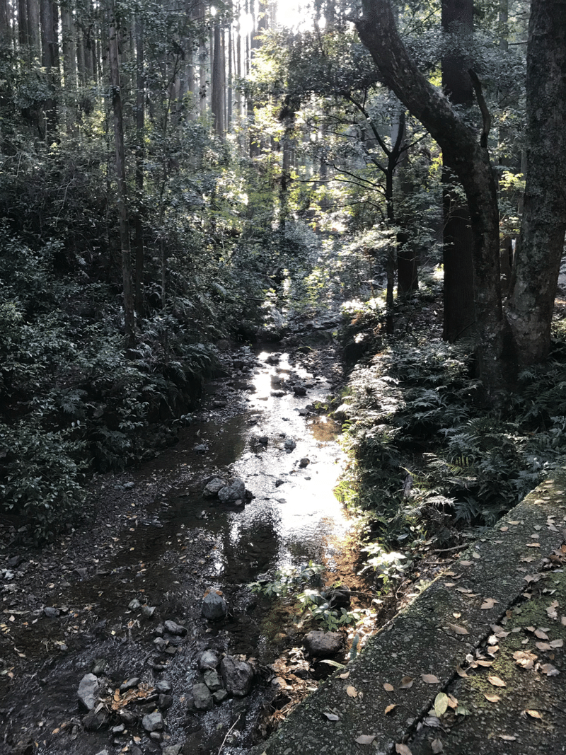 志摩は先っぽがいいですよ〜大王町観光のススメ〜｜福田純也 Junya Fukuta