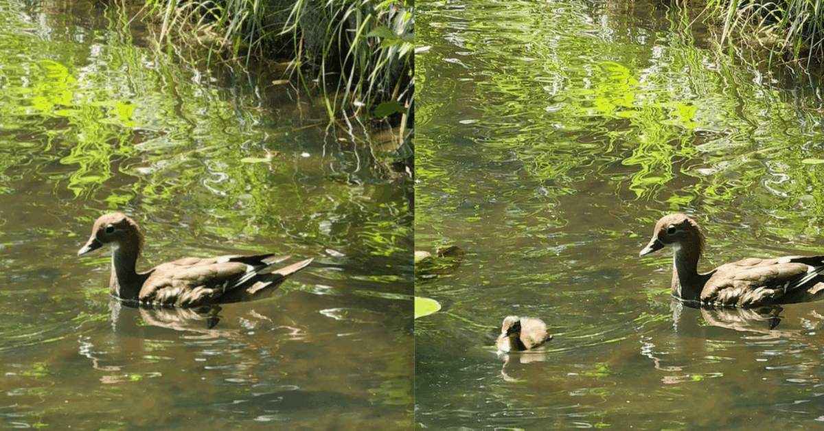 写真の解像度を上げるTecoGAN｜AIXTECH（AIクロステック）