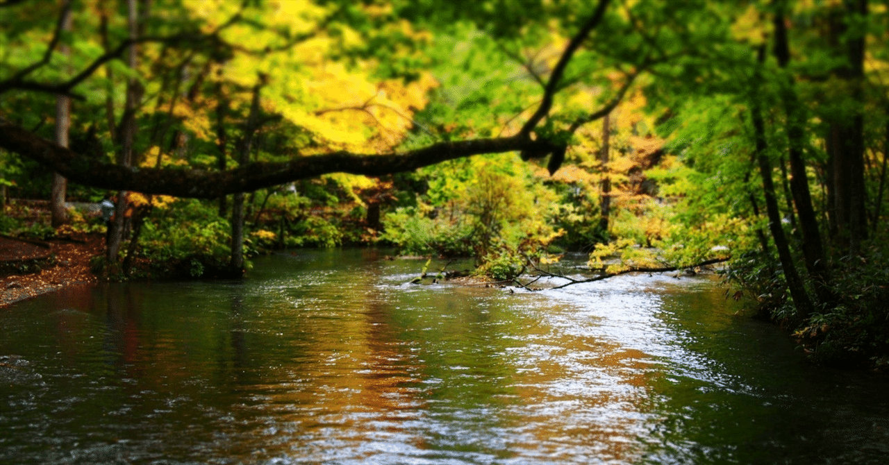 失われたシエスタを求めて｜abashi goya