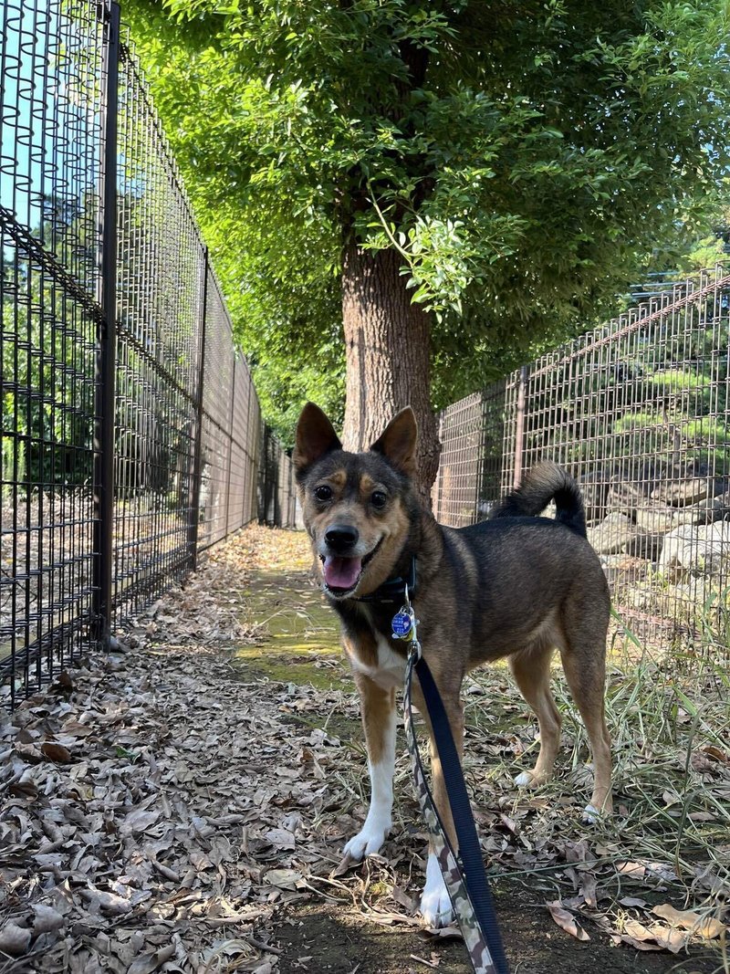 8月10日おやじ天使入院10日目の日記｜ゆかさくら