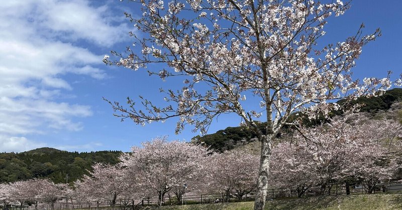 paramedic0510｜note