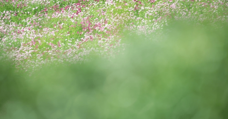NHKスペシャル 原爆が奪った未来｜マンネンロウ