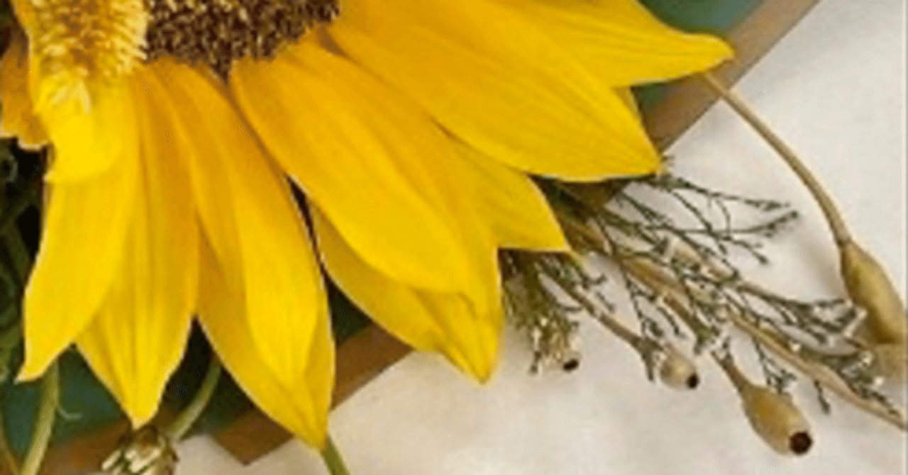 アンジー。しゅいん なほぷ。｜burode