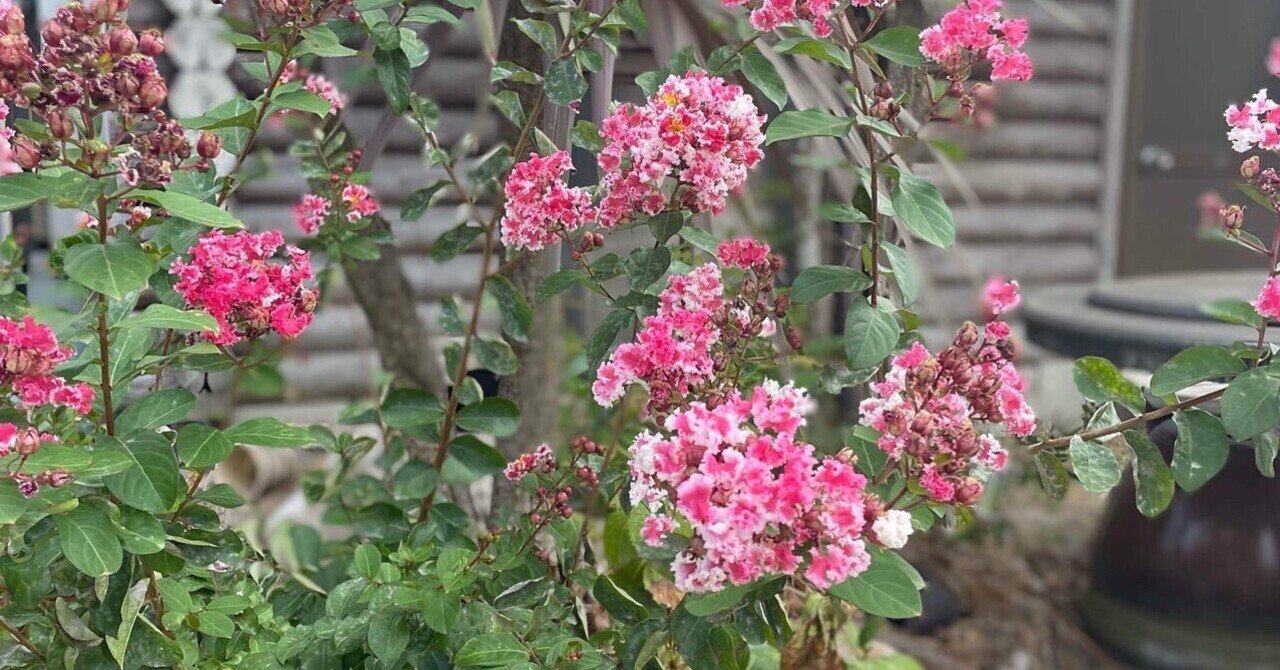 エンジェル100日プロジェクト93日目｜blessing.angels