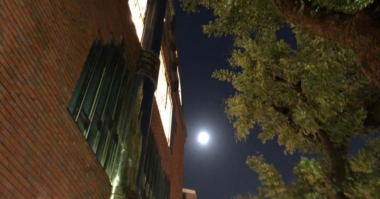 旧山手通りからの月_[やまのカケラ]｜D-RASHISA