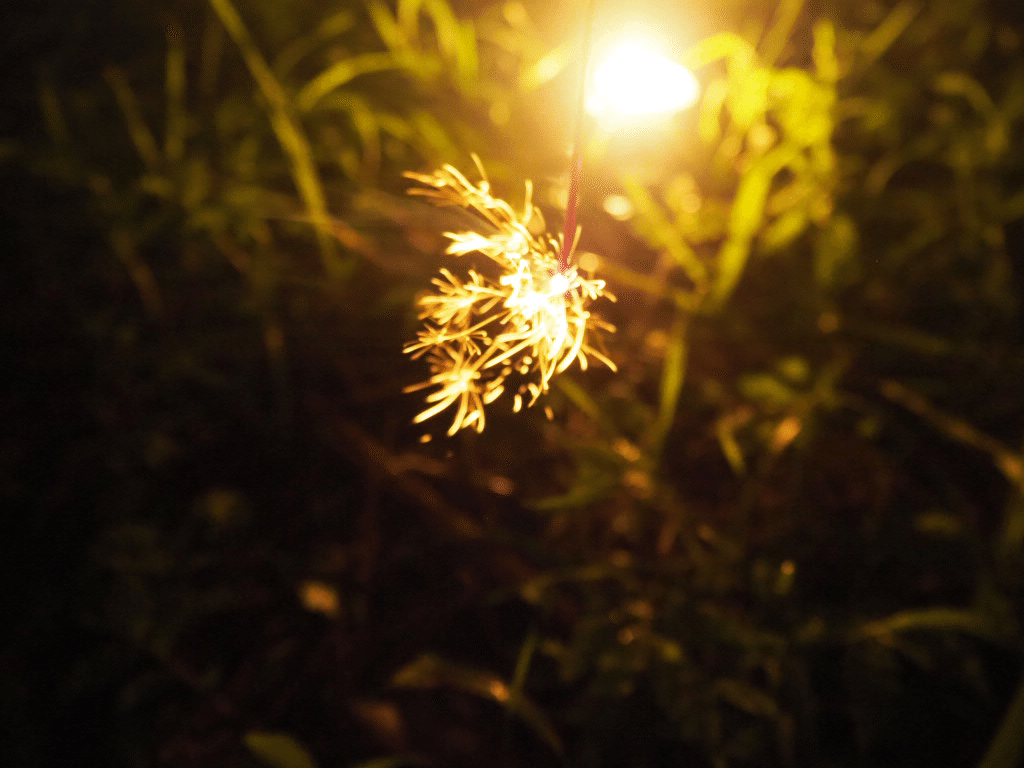 夏休み来たぁぁぁ！！！ 同期との広島旅行に、地元の友人と遊んで、家族と過ごして、少しだけ仕事して...社会人になって感じる長期休暇の尊さよ ...