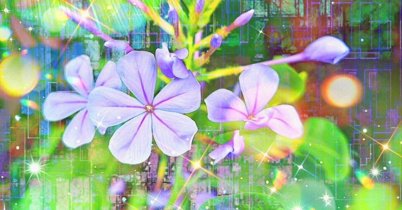 作品: 朝の陽 Morning sun spectacle｜T_GAI(戒)