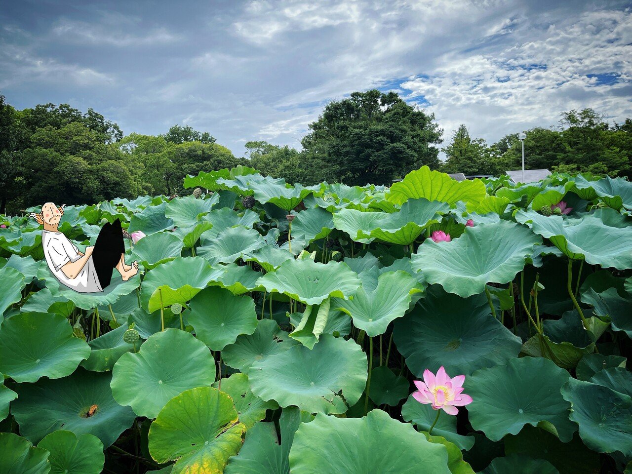【朝礼】植物を花として認識することは多いですが、植物の本体は根や茎や幹ですよね。花が咲くのはほんの数日でも、本体は 1年365日生き続けてい ...