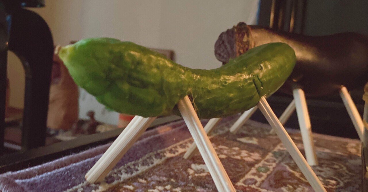 Wild Horse｜tomoko.a