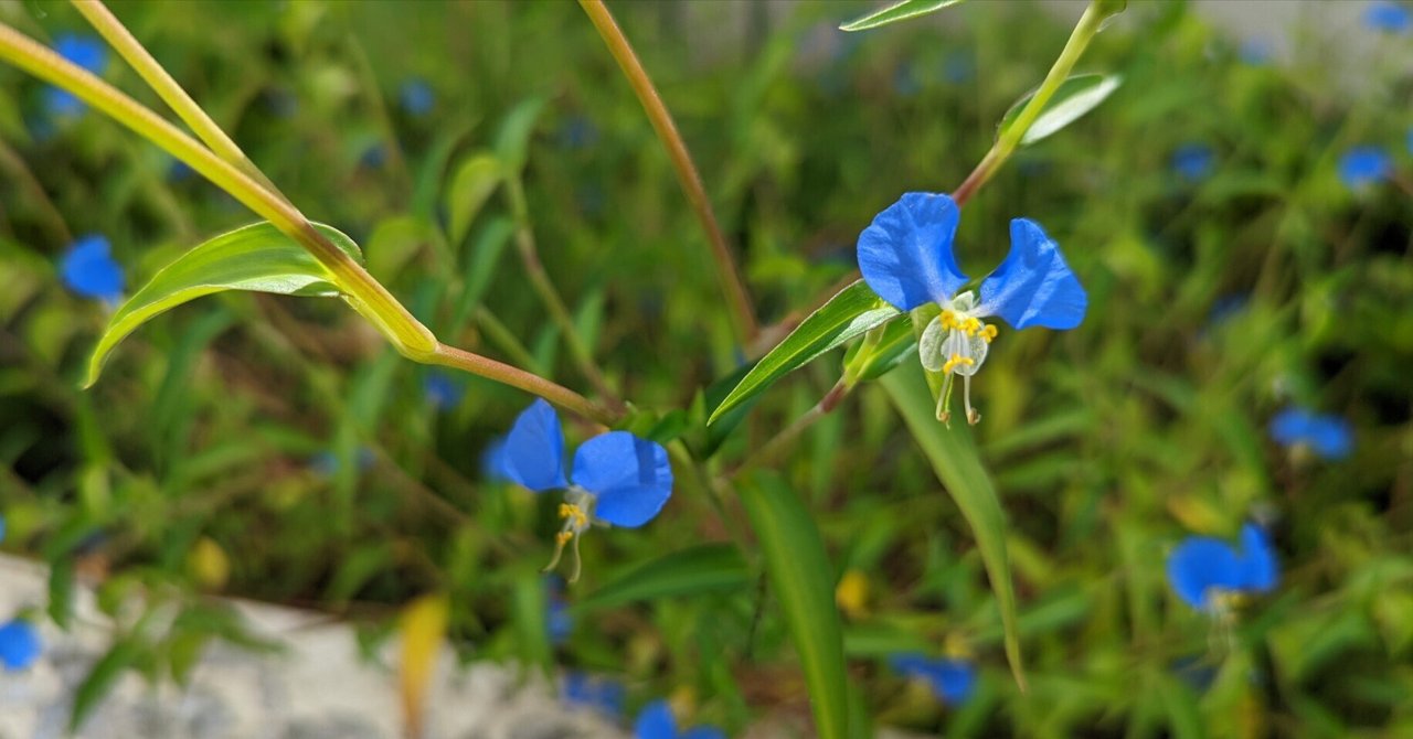 TypeScript 入門の記録（28）プロを目指す人のためのTypeScript入門（13）算術演算子｜jnkykn