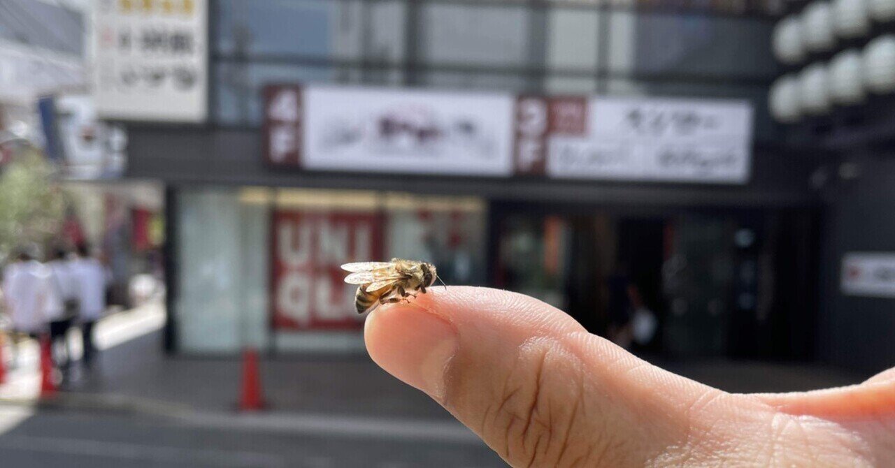 番外編 POP-UP@ユニクロ浅草｜yabusan（823）