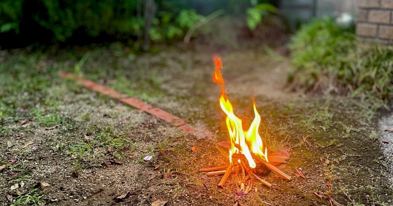 緑色。｜masue_kousuke