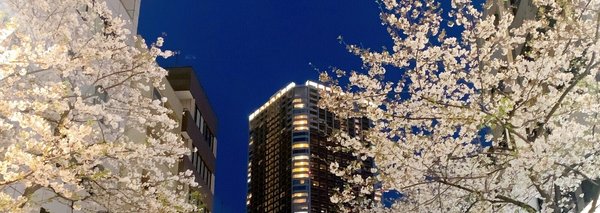 Yusuke Tatsumi｜note