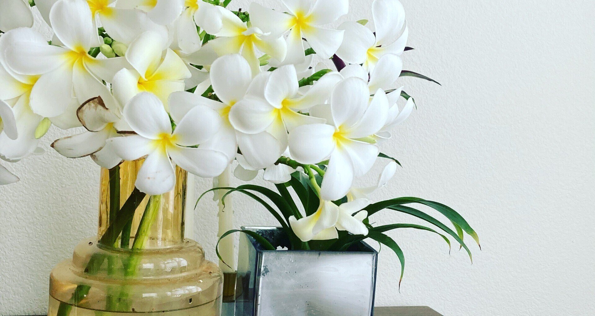 sunshine yoko｜note