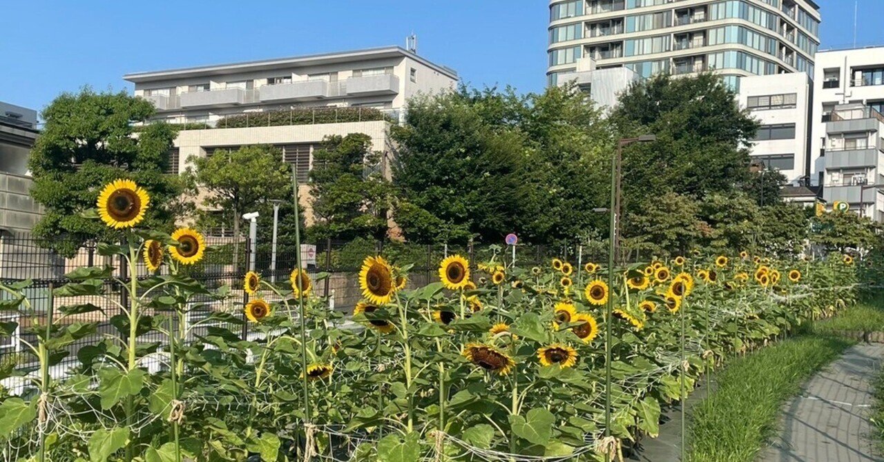 「ひまわりガーデン代官山坂」のお写真届きました！｜D-RASHISA