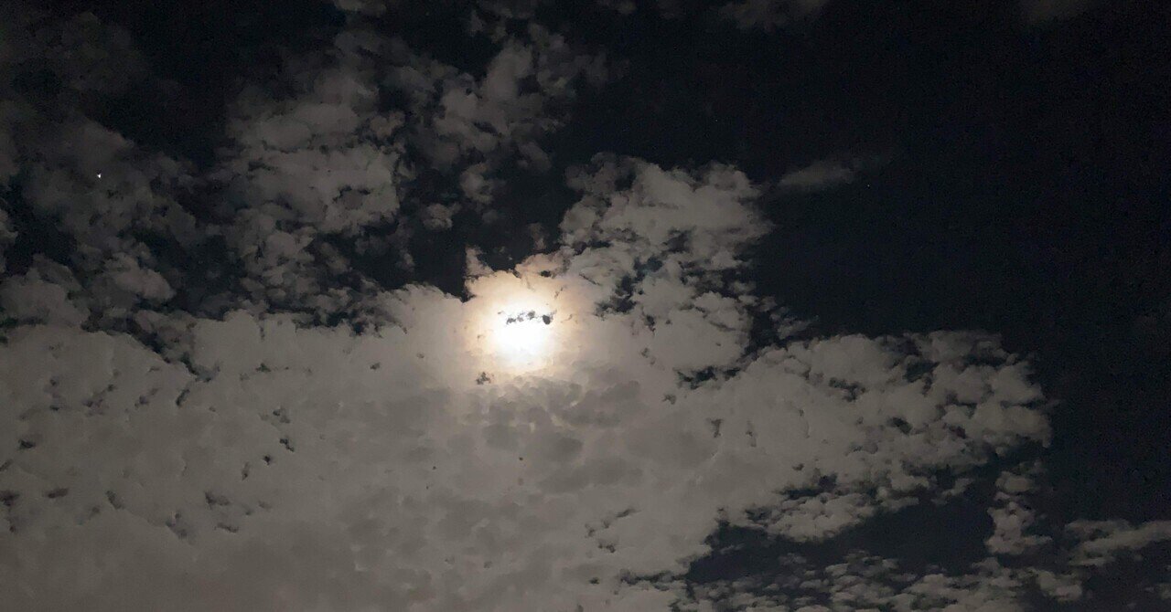 針刺されの王様｜Hyama_.switch