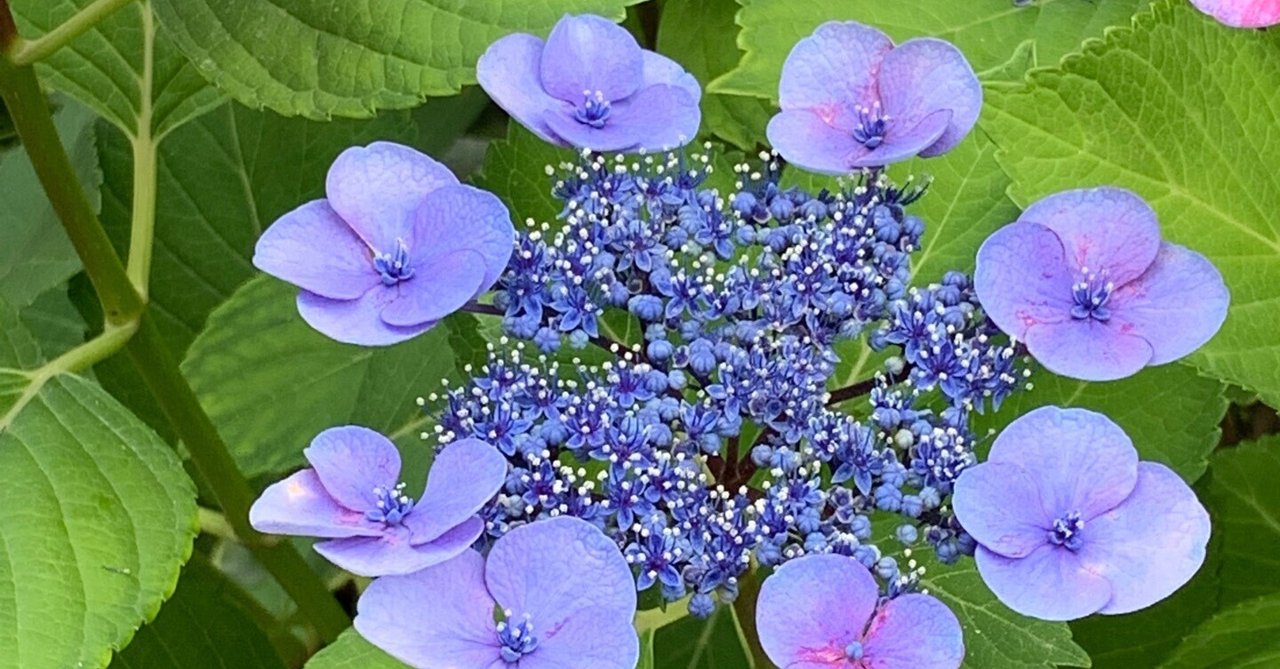 【ガラスペン】｜masahiko toyoda