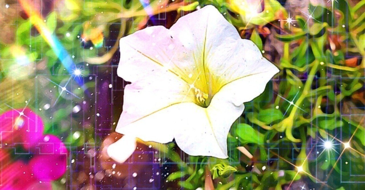 作品: 花と夢と光と flowers and dreams and brilliance｜T_GAI(戒)