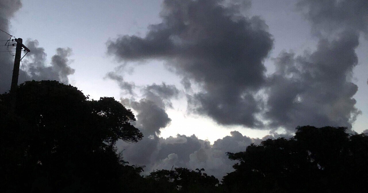 記憶はあいまい｜朧月夜